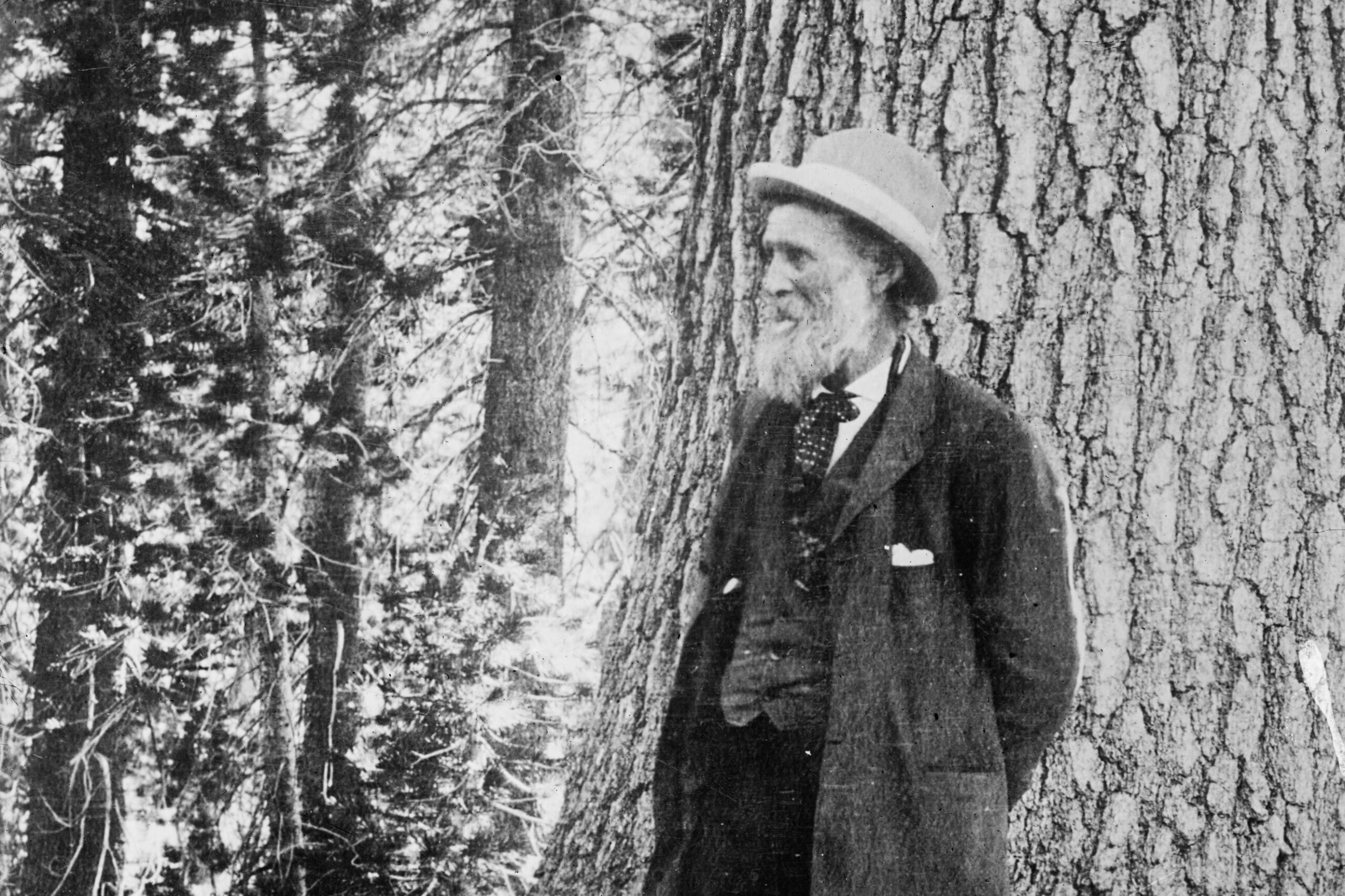 EP 15: John Muir Quote “The power of imagination makes us infinite”